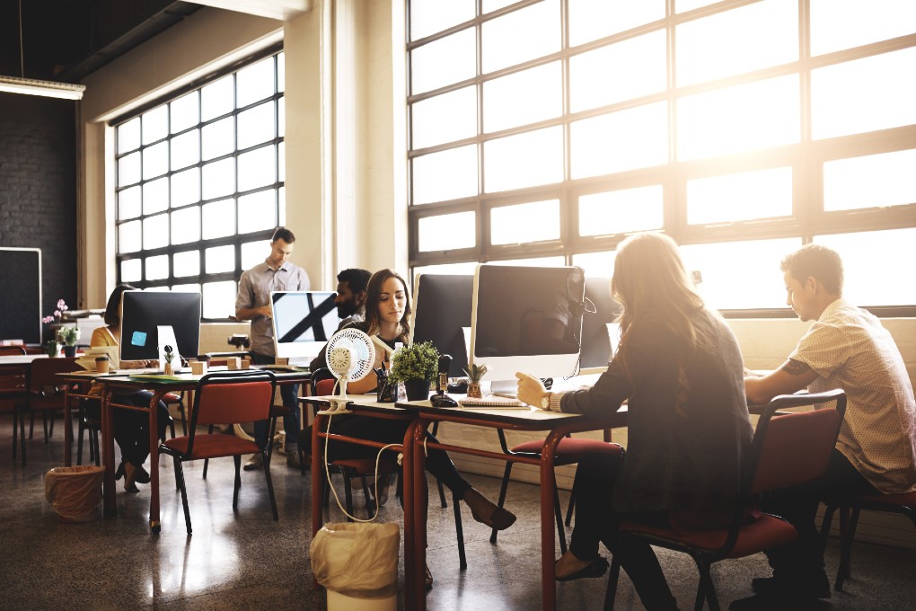 Use startup culture to accelerate your business | National Bank